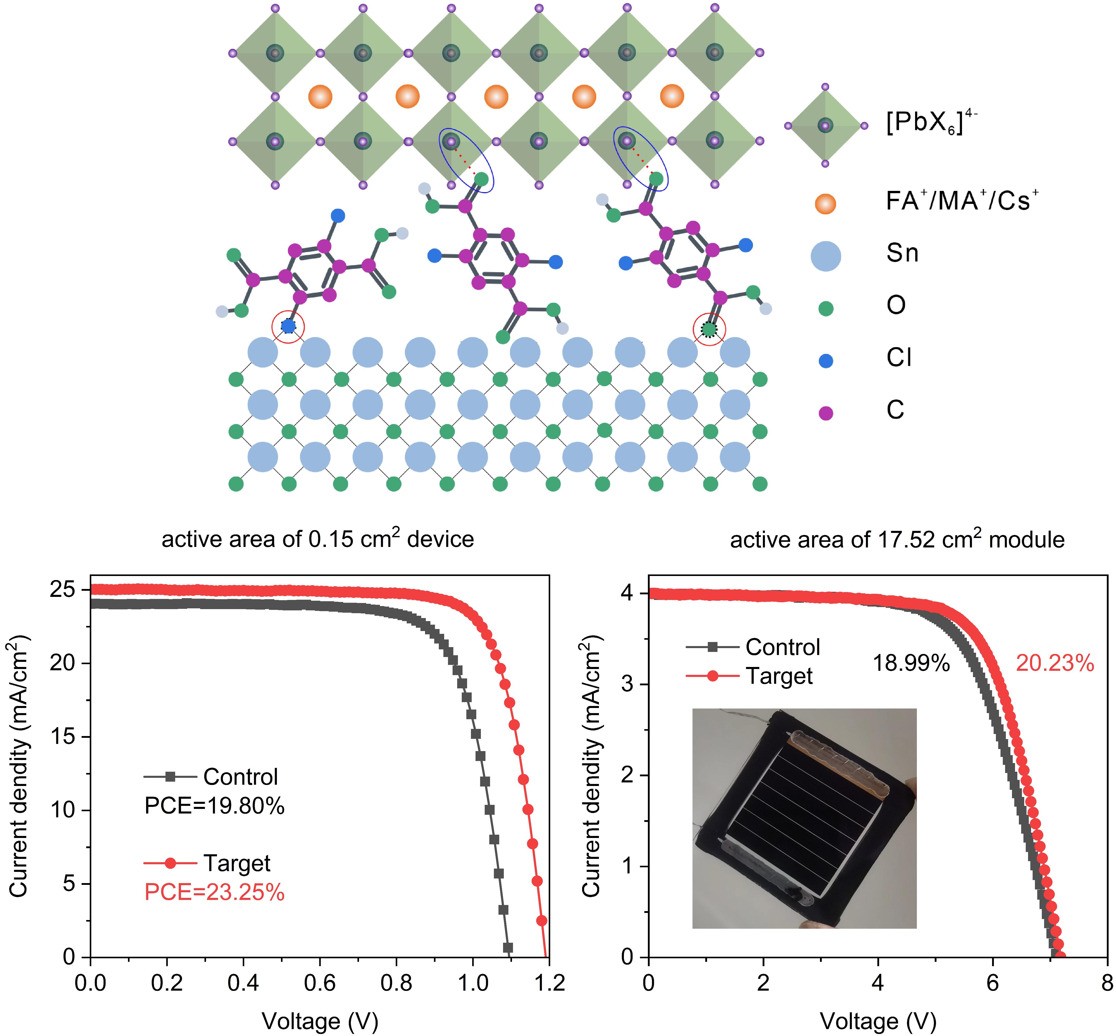 我校青年教师在国际学术期刊《Advanced Functional Materials》发表最新成果-中国计量大学
